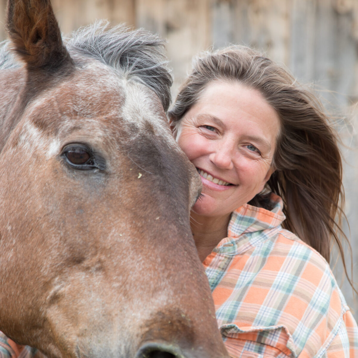 An Evening with Author Pam Houston - Colorado Humanities